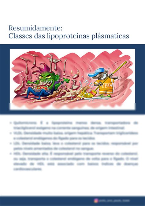 SOLUTION Colesterol E Lipoproteinas Plasmaticas Studypool
