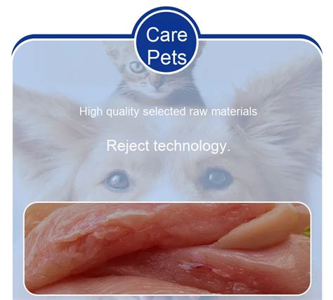 Oem Special Soft Chewable Lecithin Nutritional Supplement Granules