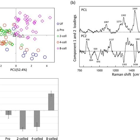 a score plot of pca performed for datasets of all developmental