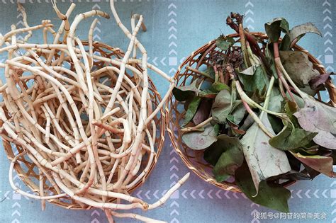 西南一带受欢迎的折耳根，也叫鱼腥草，凉拌之后味道实在太赞了 搜狐大视野 搜狐新闻