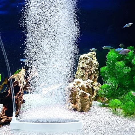 Boxtech Pierre à Air Daquarium Diffuseur Dair Pour Aquariophilie
