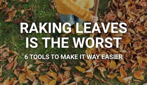 Raking Leaves Is The Worst 6 Tools To Make It Way Easier Owenhouse