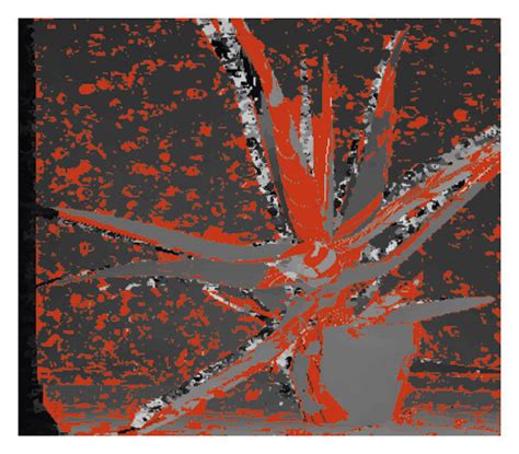 Aloes Disparity Maps Generated By Different Algorithms When