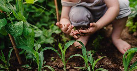 The Importance Of Soil Conservation