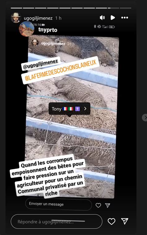 Papacito Et Les Cochons Laineux 🔴 Info Libertaire