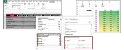 Tables Windsong Training
