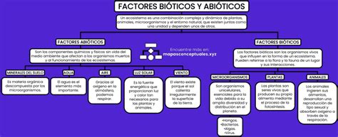 Mapas conceptuales Factores Bióticos y Abióticos Descargar