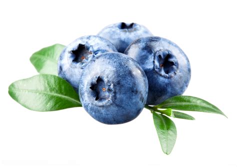 Are You Suffering From Irritable Bowel Syndrome Try Blueberry
