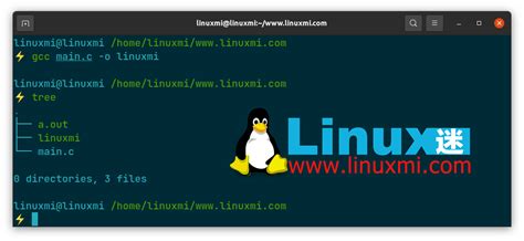 Linux 下进行 C 或 C 编程时重要的 GCC 标志 Linux迷
