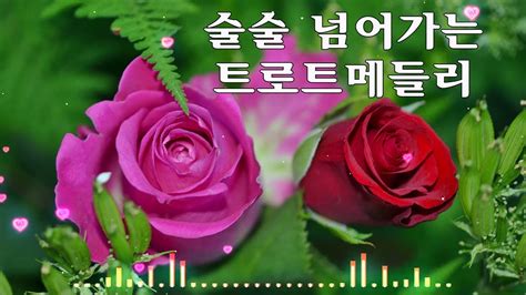 광고없는 신나는 트로트 메들리 1시간 🌻 매일 들어도 좋은 노래 모음 아줌마 아저씨 신나는 트로트 메들리 Youtube