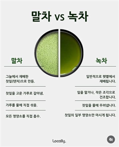 사람들이 모르는 말차 Vs 녹차 차이점