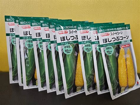 Yahoo オークション スイートコーン種 ほしつぶコーン 48粒×10袋未