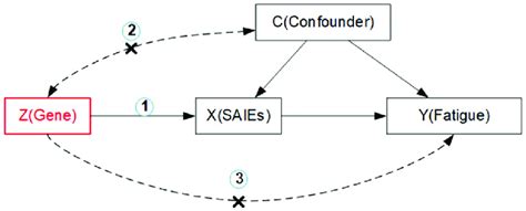 A Directed Acyclic Graph Illustrating Core Instruments Variable Download Scientific Diagram