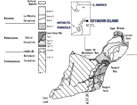 The Antarctic Fossils Of Pri — Paleontological Research Institution