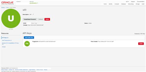 Oci Command Line Setup And Some Interesting Features Avm Consulting