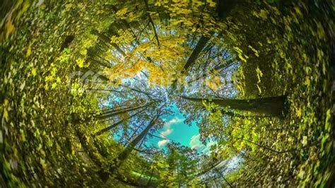 Bonfiglioli On Linkedin Bonfiglioli Emobility