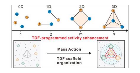 Dna Framework Programmed Nanoscale Enzyme Assemblies Nano Letters