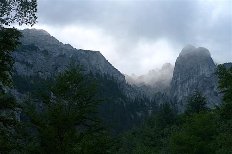 Un Pic De Crai Rromania