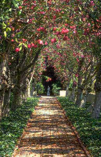 Bette Ann Cooper Drewry Cremation Society Of Virginia