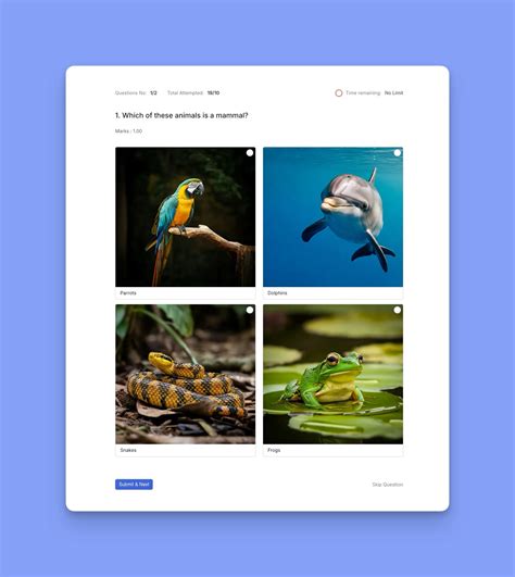 The Complete Guide To Creating Quizzes In Tutor LMS Tutor LMS