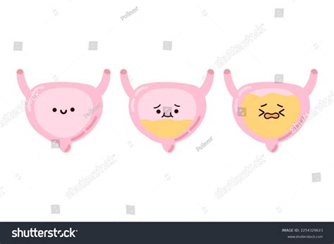 Cheerful Empty Bladder Sad Full Bladder Stock Vector Royalty Free