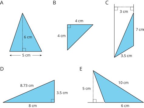Find The Area Of A Triangle Worksheet Printable And Enjoyable Learning