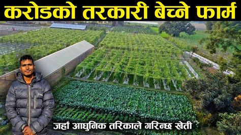 करोडको तरकारी उत्पादन हुने फार्ममा आधुनिक तरिकाले यसरी गरिन्छ खेती