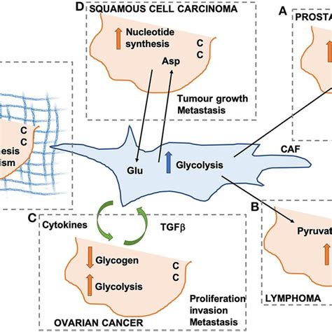A Schematic Representation Of The Crosstalk Between Integrins Download Scientific Diagram