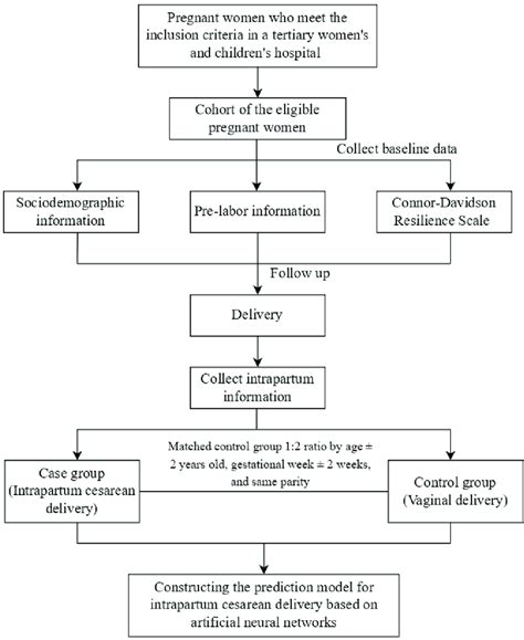 Technical Protocol Of This Study Note Inclusion Criteria Female Age Download Scientific