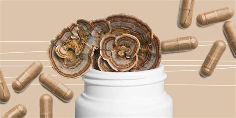 5 Best Turkey Tail Mushroom Supplements 2023 Healthnews