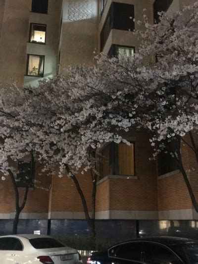 한강이 선물인데 내 선물 같고 나한테 필요한거 같은 Tumbex