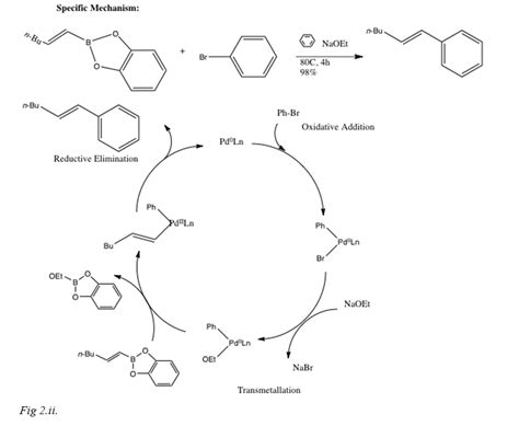 High Throughput Experimentation Palladium Catalyzed Suzuki Miyaura