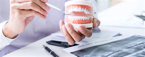 Fogorvosaink és munkatársaink Fehérvári Dental Újbuda Fogászat Budapest