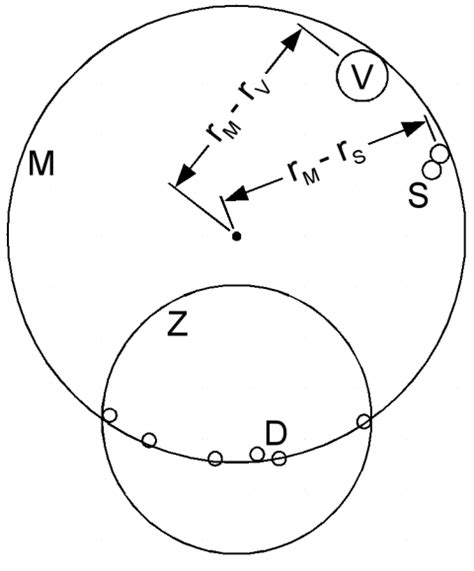 A Diagram Illustrating The Relationships Between The Five Particle Download Scientific Diagram