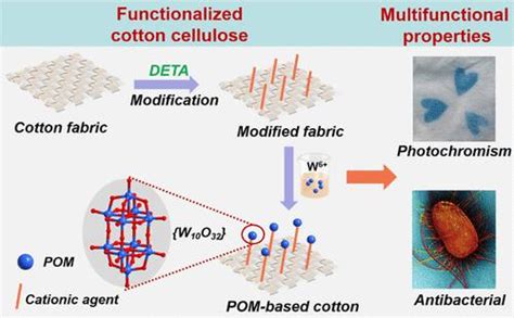 Acs Applied Nano Materials X Mol