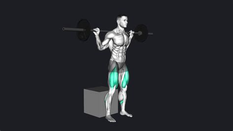 Box Squat Vs Dumbbell Bulgarian Split Squat