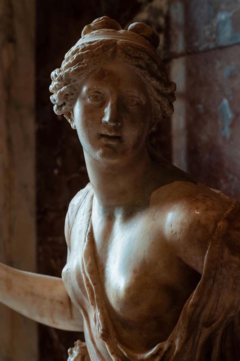 Cerberus Greek Mythology Photos Download The Best Free Cerberus