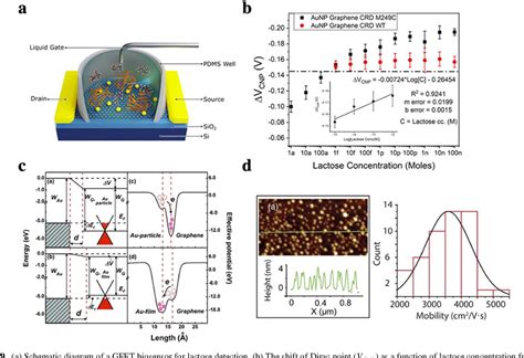 Figure 1 From Review—recent Advances In Graphene Based Field Effect