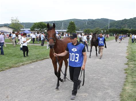 【セレクションセール2023】ソフトバンクの柳田悠岐選手が2日連続で落札 競馬ニュース Netkeiba