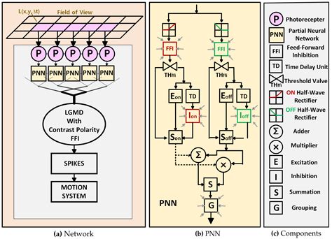 A Computationally Efficient Neuronal Model For Collision Detection With