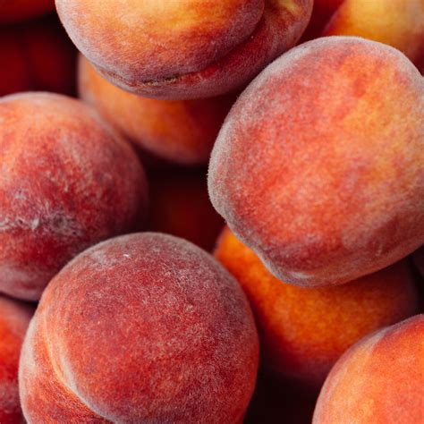 Prunus Persica Peach Kernel Oil