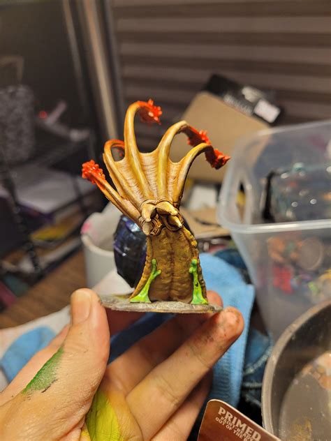Flail Snail Album On Imgur
