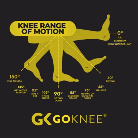 Understanding Knee Range Of Motion GoKnee