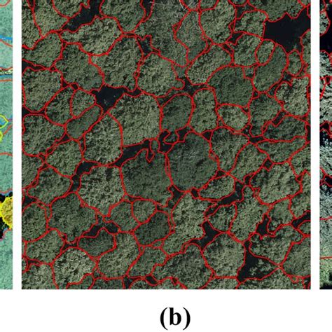 Method Output For Three Scenarios A Generated Tree Crown Polygons From