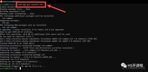 Windows Zsh Windows Bash Shell Ubuntu Li