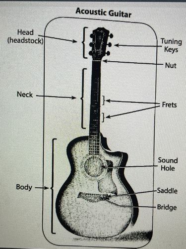 Guitar Midterm Review Flashcards Quizlet