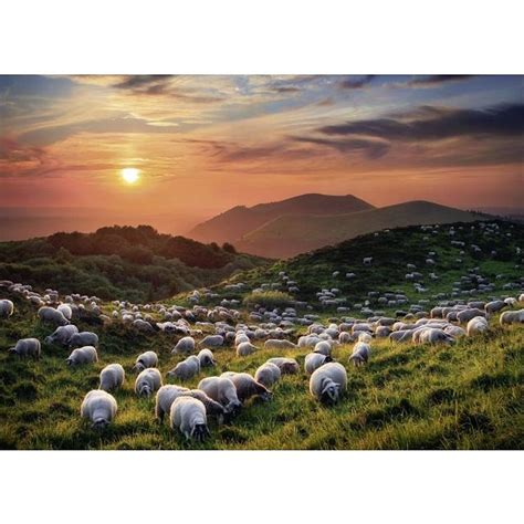 Avh Edition Sheep And Volcanoes Jigsaws Puzzle Master Inc