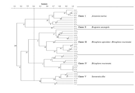 A Dendrogram Showing The Five Clusters Of Mangrove Plots In Manamoc