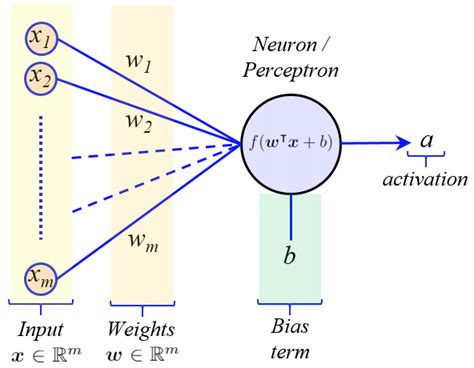 Illustration Of A Single Neuronperceptron In A Standard Ann Each