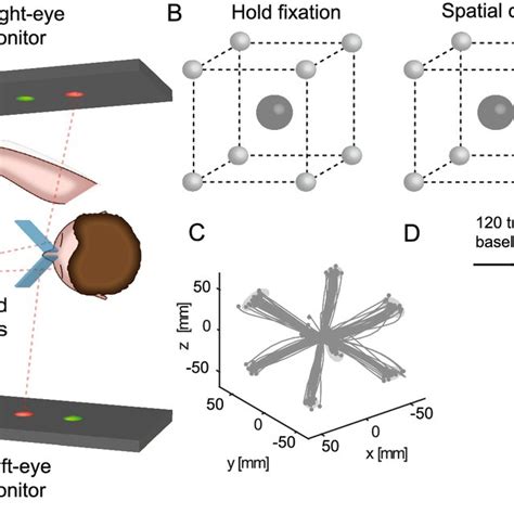 Virtual Reality Setup With Robotic Manipulator For Testing Visuomotor Download Scientific